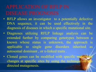 molecular marker RFLP, and application | PPTX