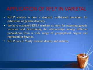 molecular marker RFLP, and application | PPTX | Genetics | Science