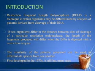molecular marker RFLP, and application | PPTX