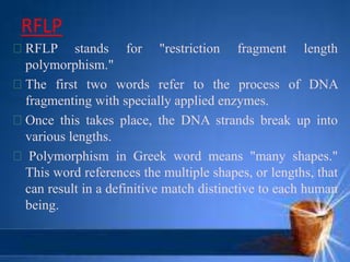 molecular marker RFLP, and application | PPTX