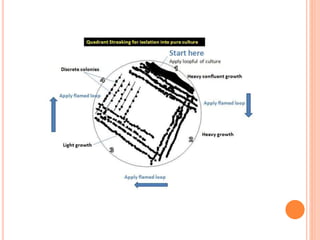 Application of streaking | PPTX