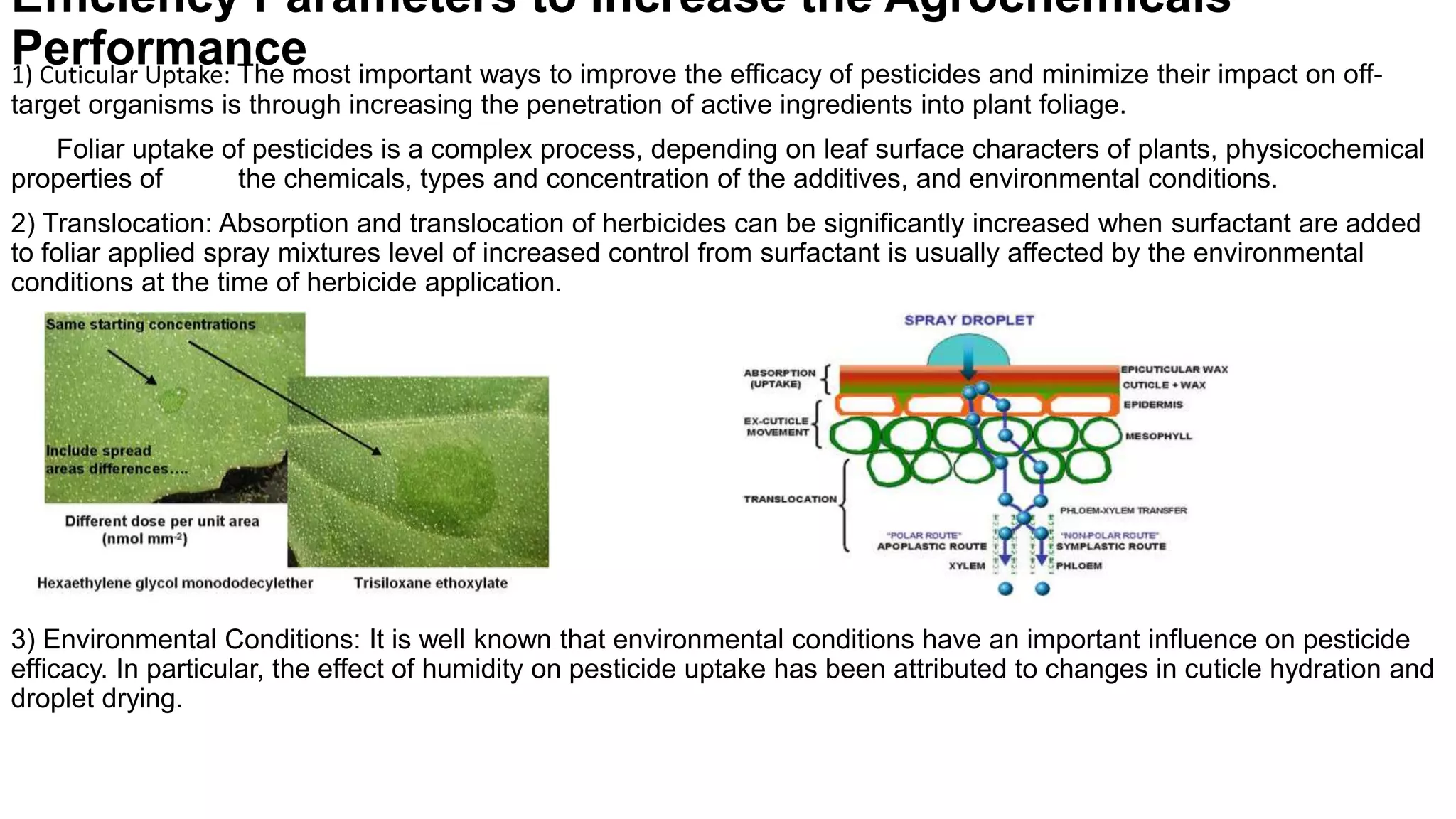 Application of Surfactant on Pesticides.pptx
