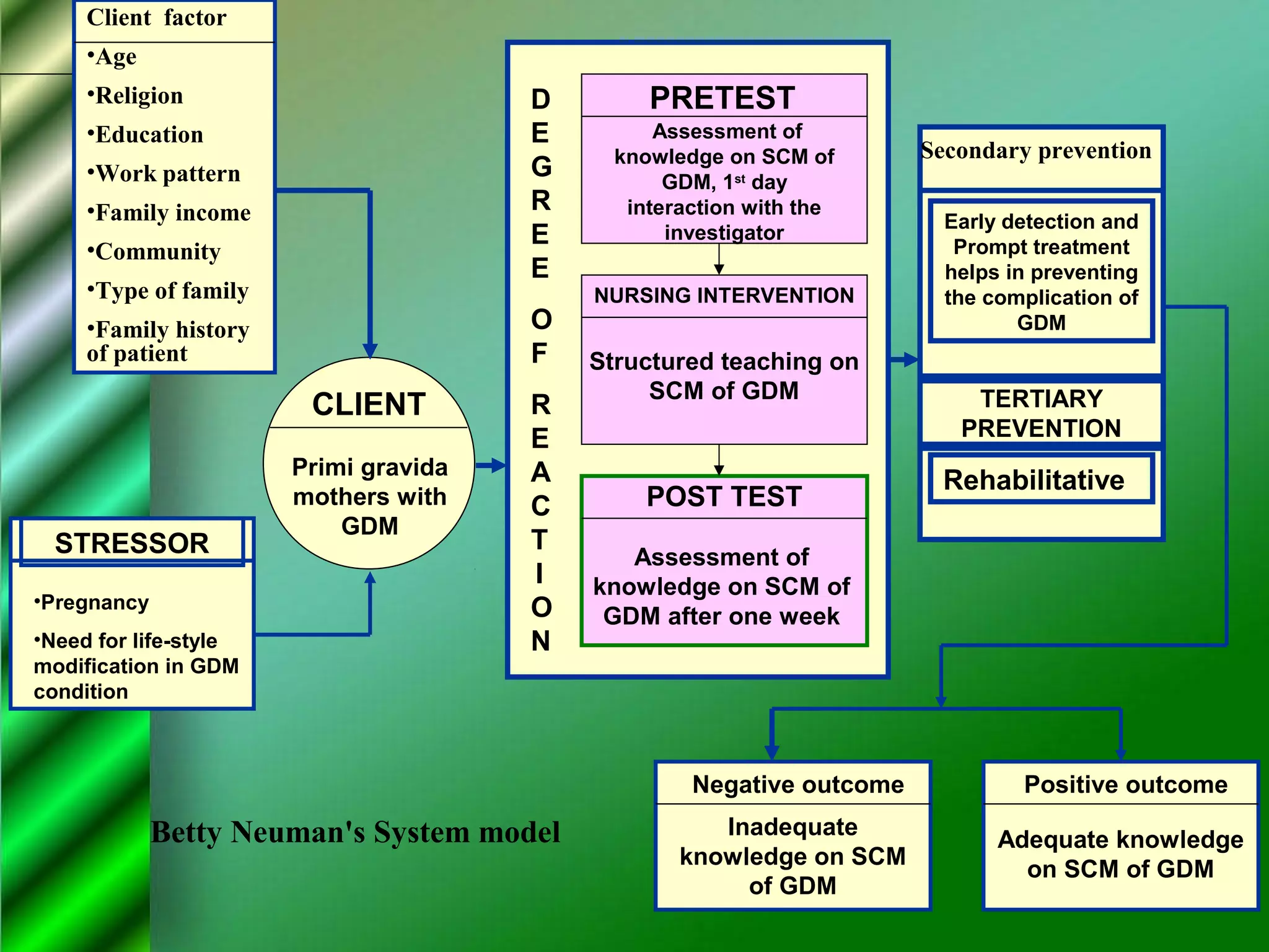 Application of theories in nursing resea5 rch | PPT