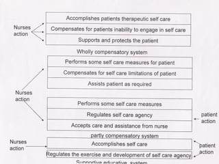 Application of theories, models and conceptual frameworks into family ...