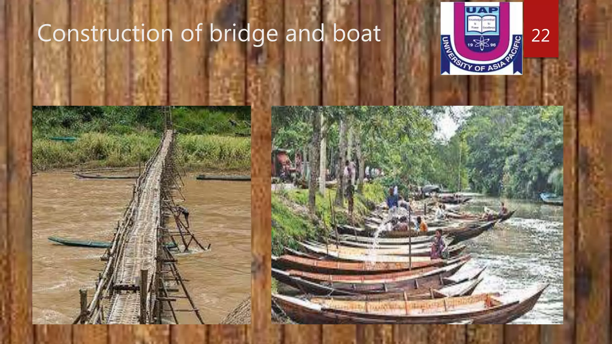 Application of timber in the civil engineering structures | PPTX