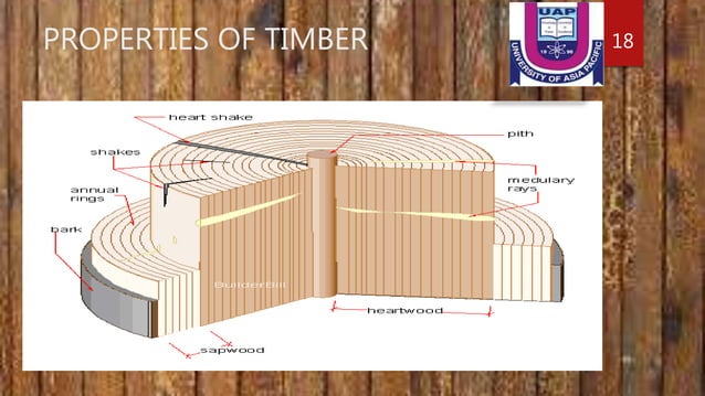 Application of timber in the civil engineering structures | PPTX