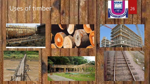 Application of timber in the civil engineering structures | PPTX