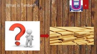 Application of timber in the civil engineering structures | PPT