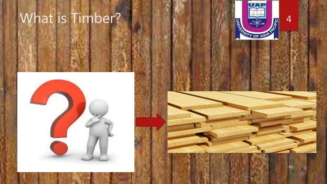 Application of timber in the civil engineering structures | PPT