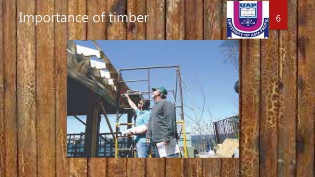 Application of timber in the civil engineering structures | PPTX