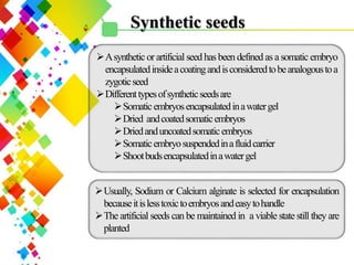 Application of tissue culture in crop improvement | PPTX
