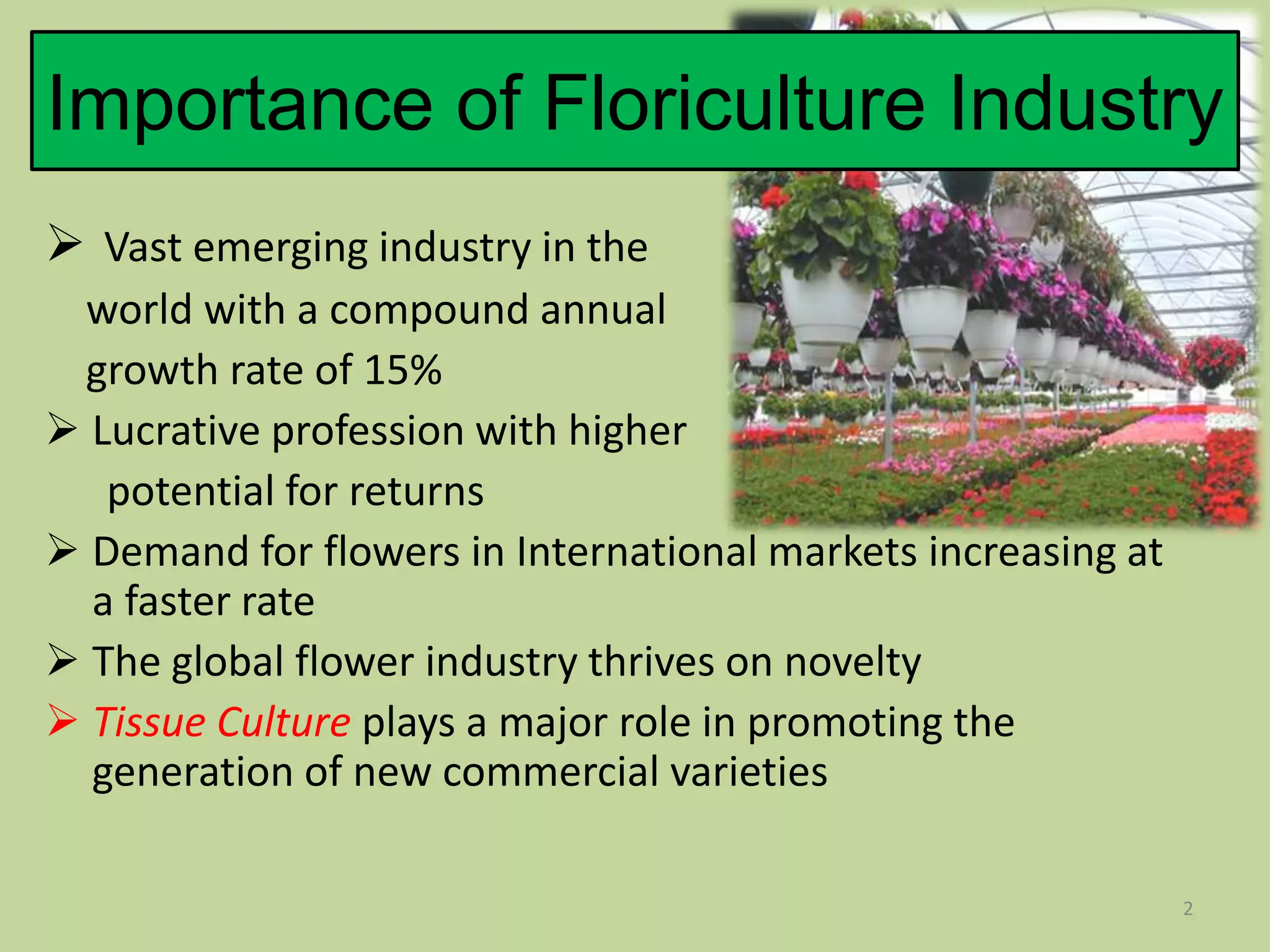 Applications of tissue culture in floriculture | PPTX