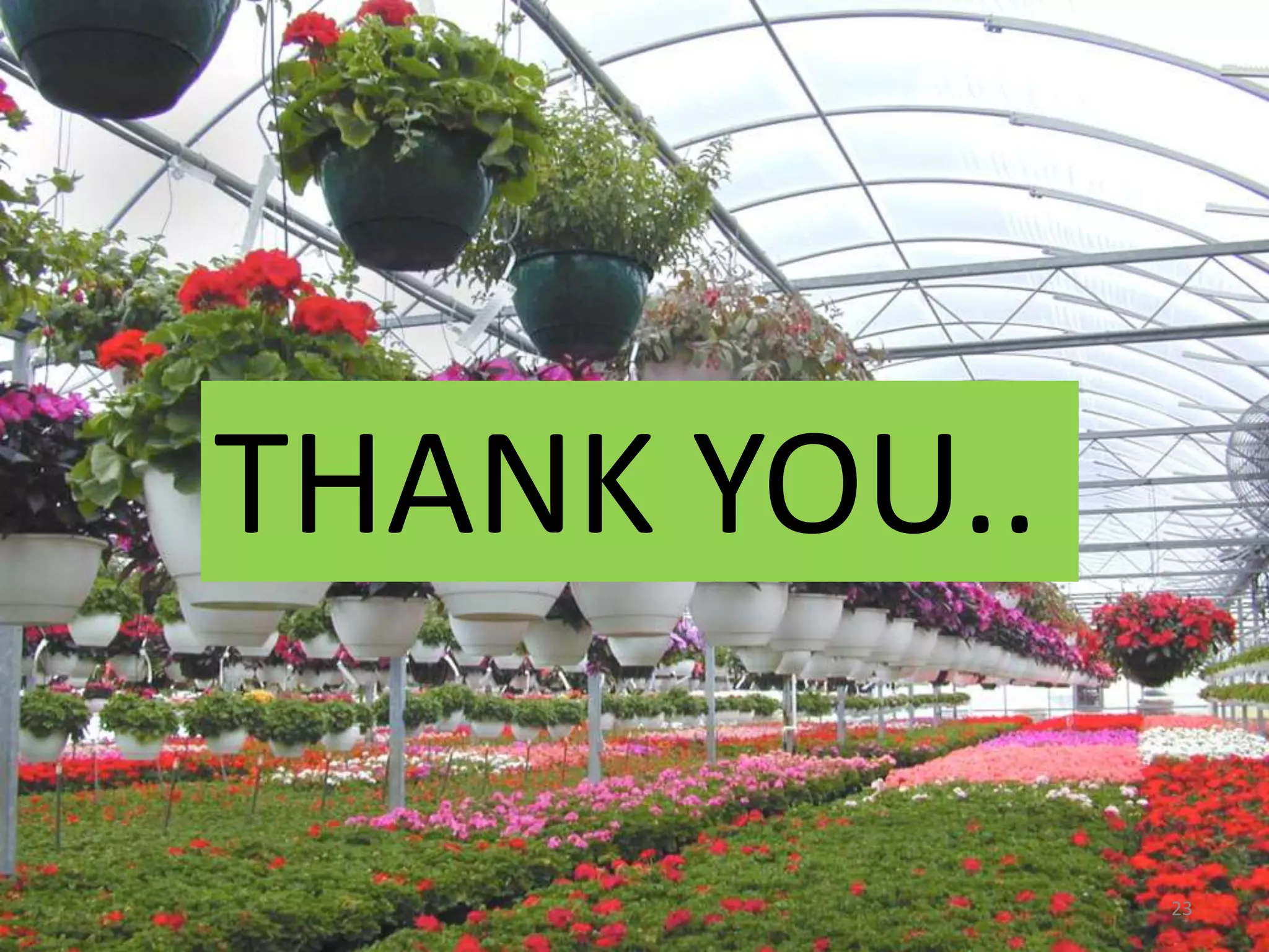 Applications of tissue culture in floriculture | PPTX