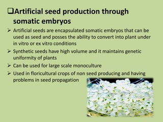 Applications of tissue culture in floriculture | PPTX