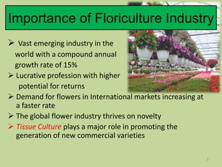 Applications of tissue culture in floriculture | PPTX