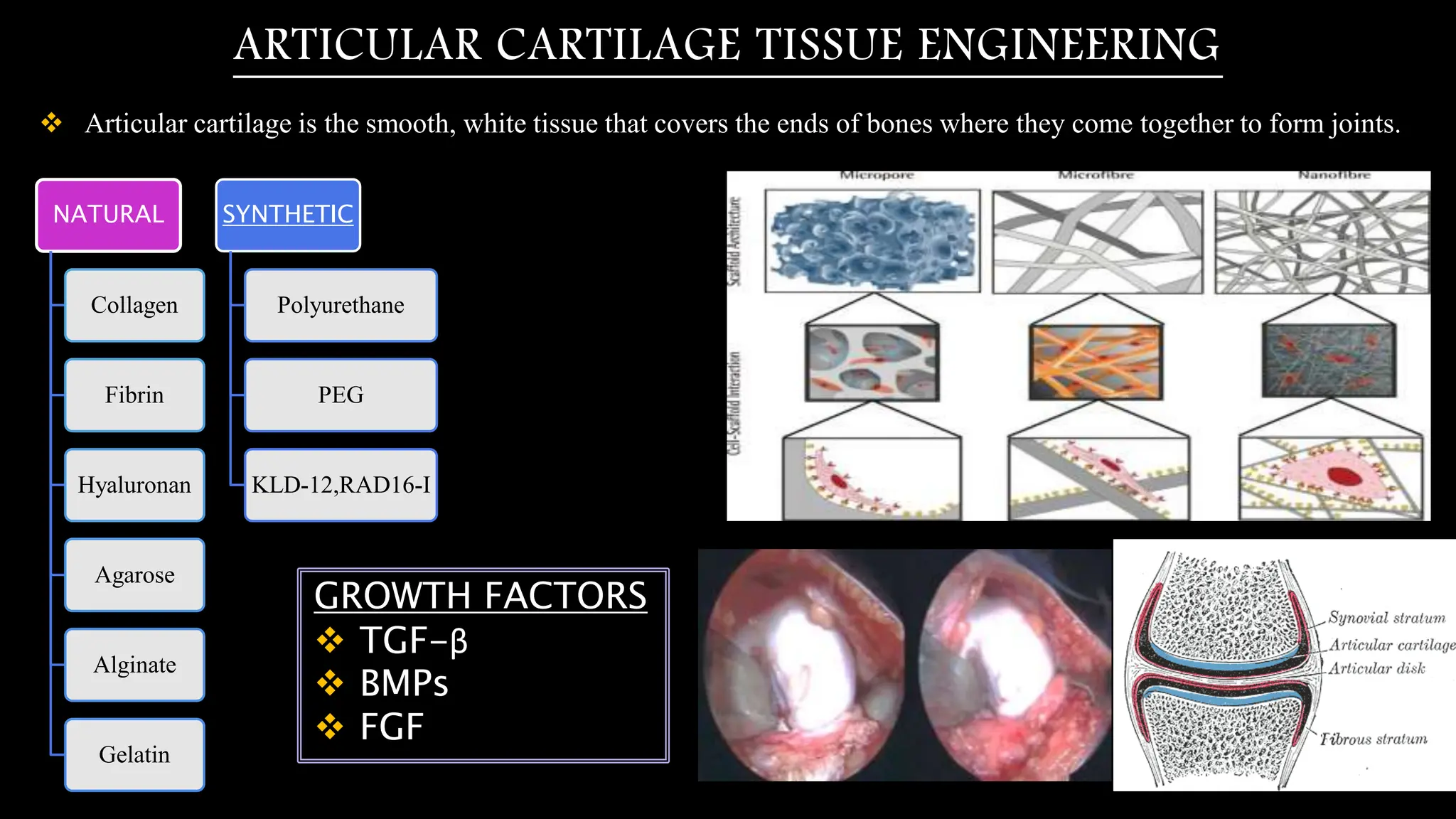 Application of Tissue engineering in Cartilage, Cardiac, Pancreas ...