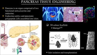 Application of Tissue engineering in Cartilage, Cardiac, Pancreas ...