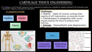 Application of Tissue engineering in Cartilage, Cardiac, Pancreas ...