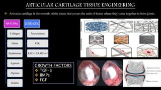 Application of Tissue engineering in Cartilage, Cardiac, Pancreas ...