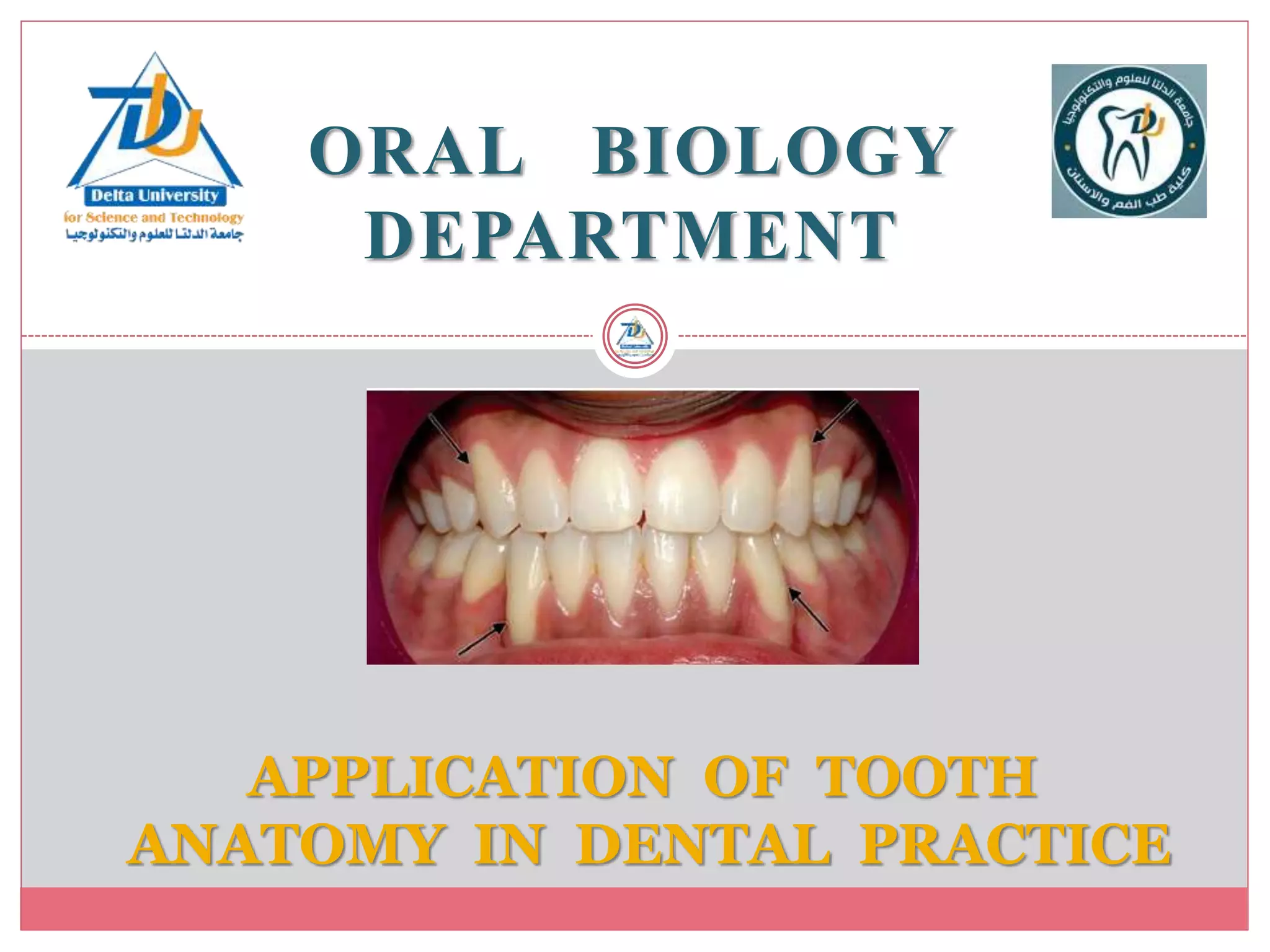 Application of tooth anatomy in denta practice | PPTX