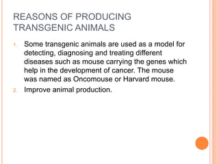 Application of transgenesis ppt | PPTX