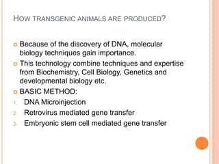 Application of transgenesis ppt | PPTX