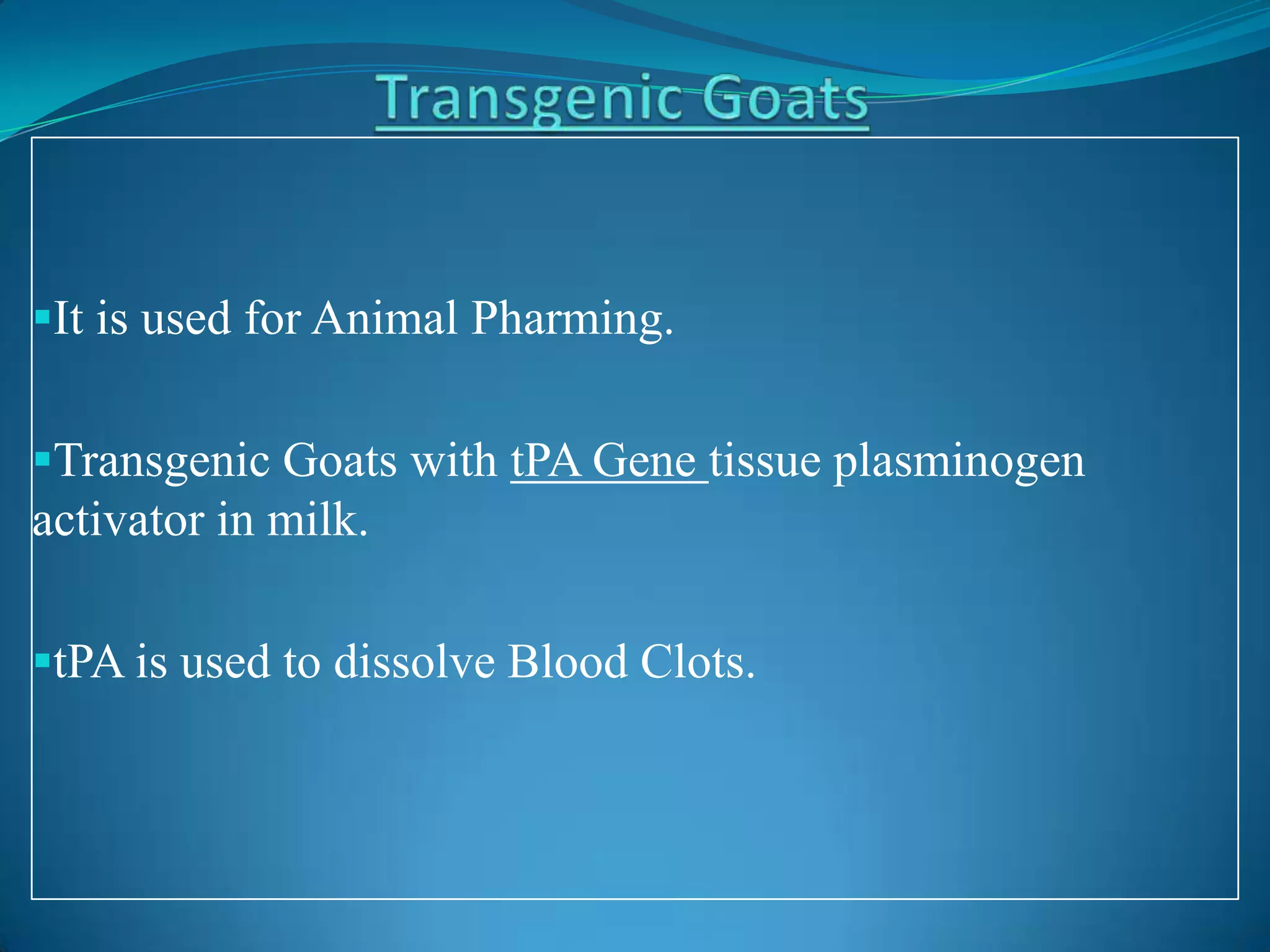 Application of transgenic animals | PPTX