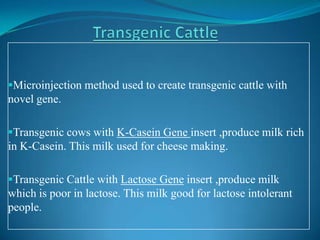 Application of transgenic animals | PPTX