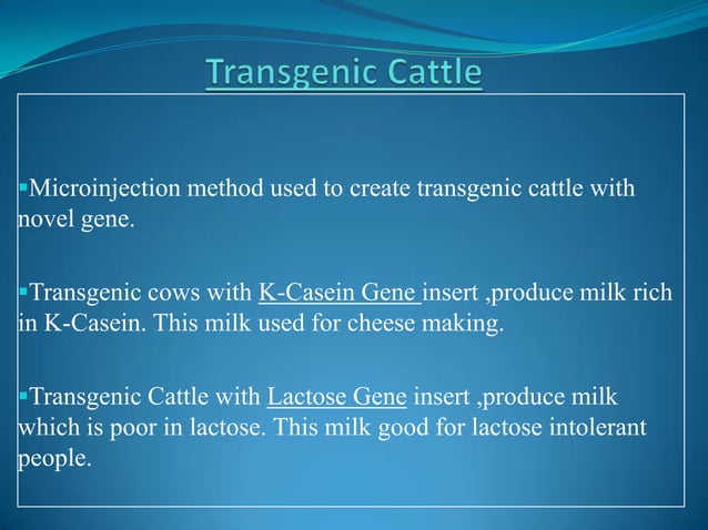 Application of transgenic animals | PPTX | Genetics | Science