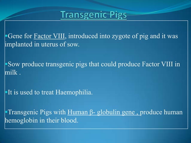 Application of transgenic animals | PPTX | Genetics | Science