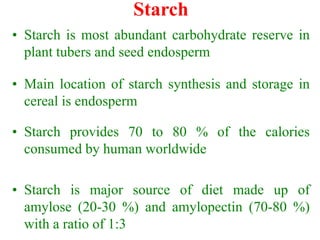 Application of ultrasound and ozone in Cassava Starch Industries | PPTX