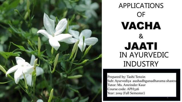 Application of vacha and jati in ayurvedic industry | PPTX | Herbs and ...