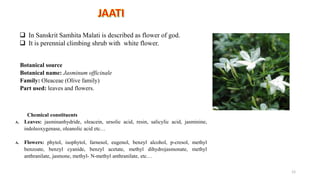Application of vacha and jati in ayurvedic industry | PPTX