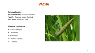 Application of vacha and jati in ayurvedic industry | PPTX