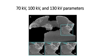 Application of X-ray Microscopy (XRM) on a Palaeolagus from the White River Formation | PPT