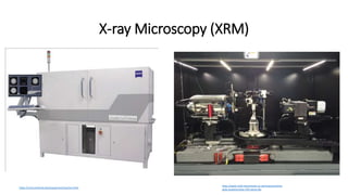 Application of X-ray Microscopy (XRM) on a Palaeolagus from the White River Formation | PPT