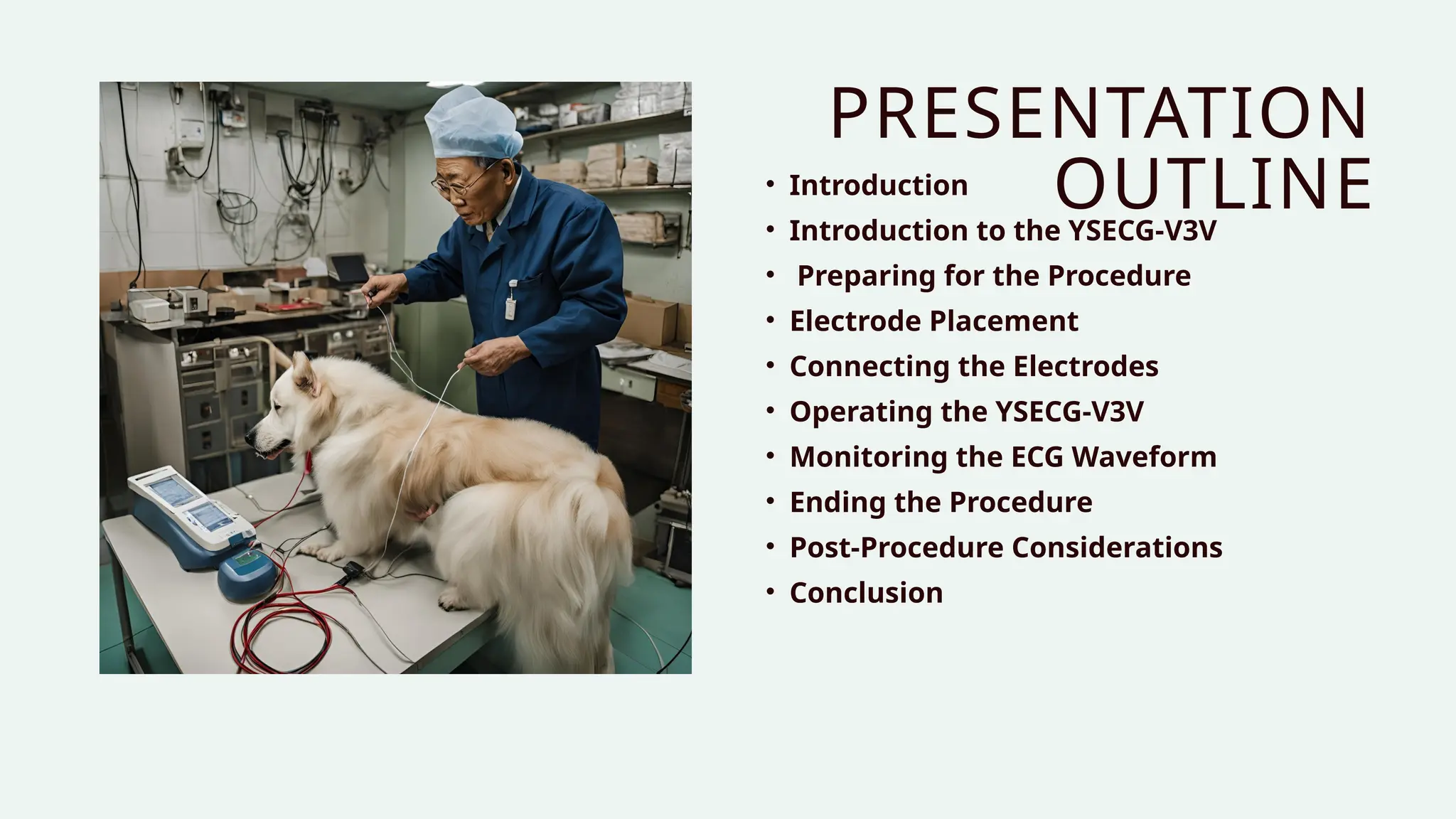 Application of YSECG - V3V and how an ecg equipment work | PPT