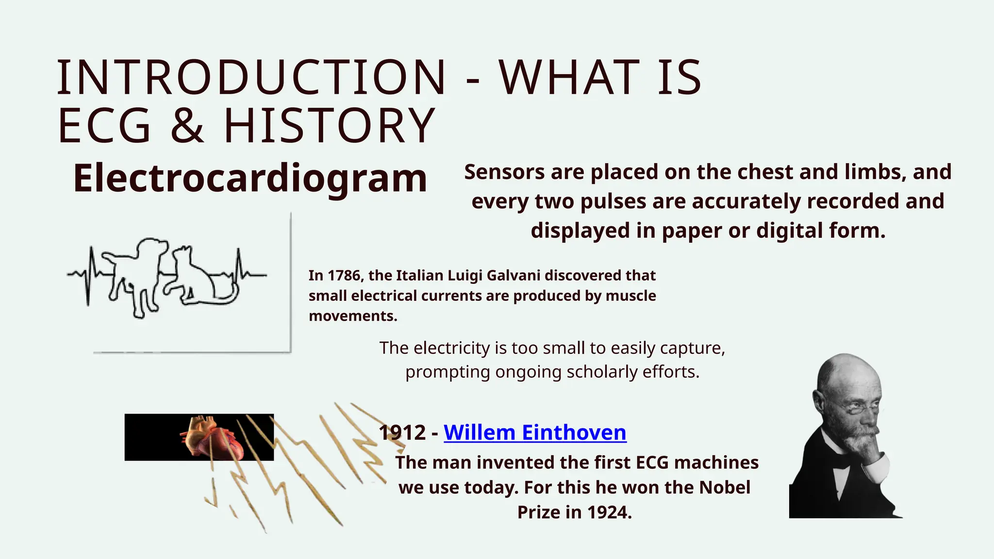 Application of YSECG - V3V and how an ecg equipment work | PPT