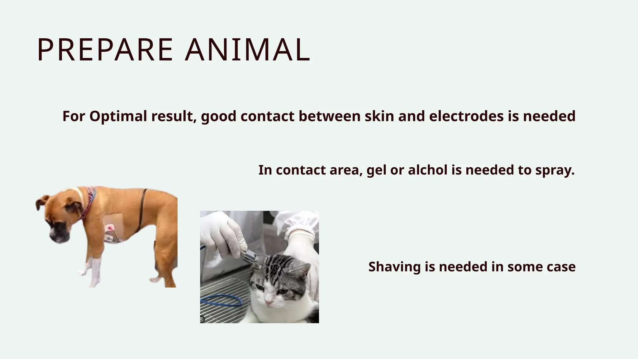 Application of YSECG - V3V and how an ecg equipment work | PPT