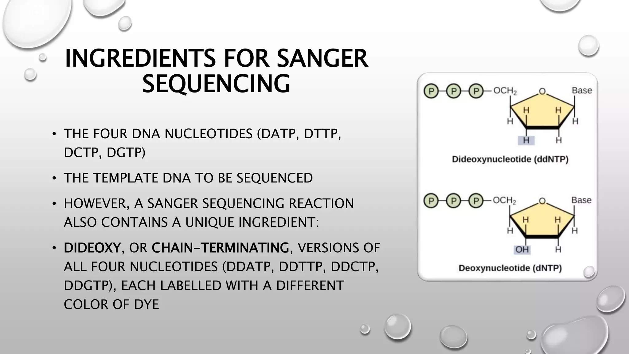 Applications and drawbacks of sanger sequencing | PPTX