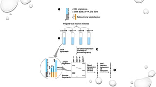 Applications and drawbacks of sanger sequencing | PPTX