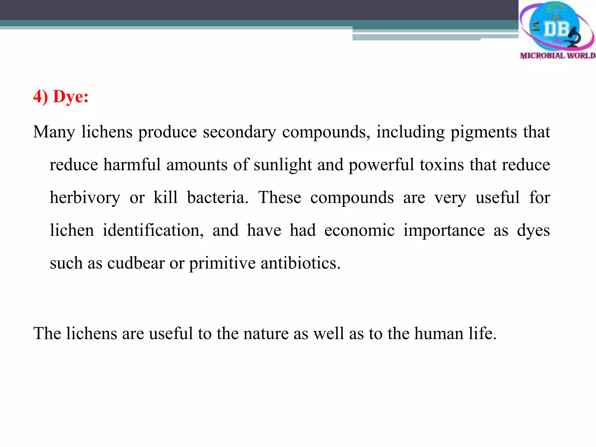 Applications and economic importance of lichens | PPT
