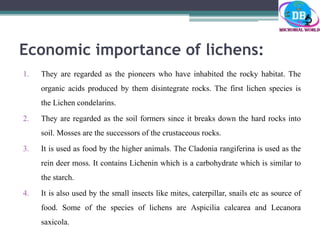 Applications and economic importance of lichens | PPT