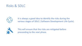 Application Security Risk Assessment | PDF