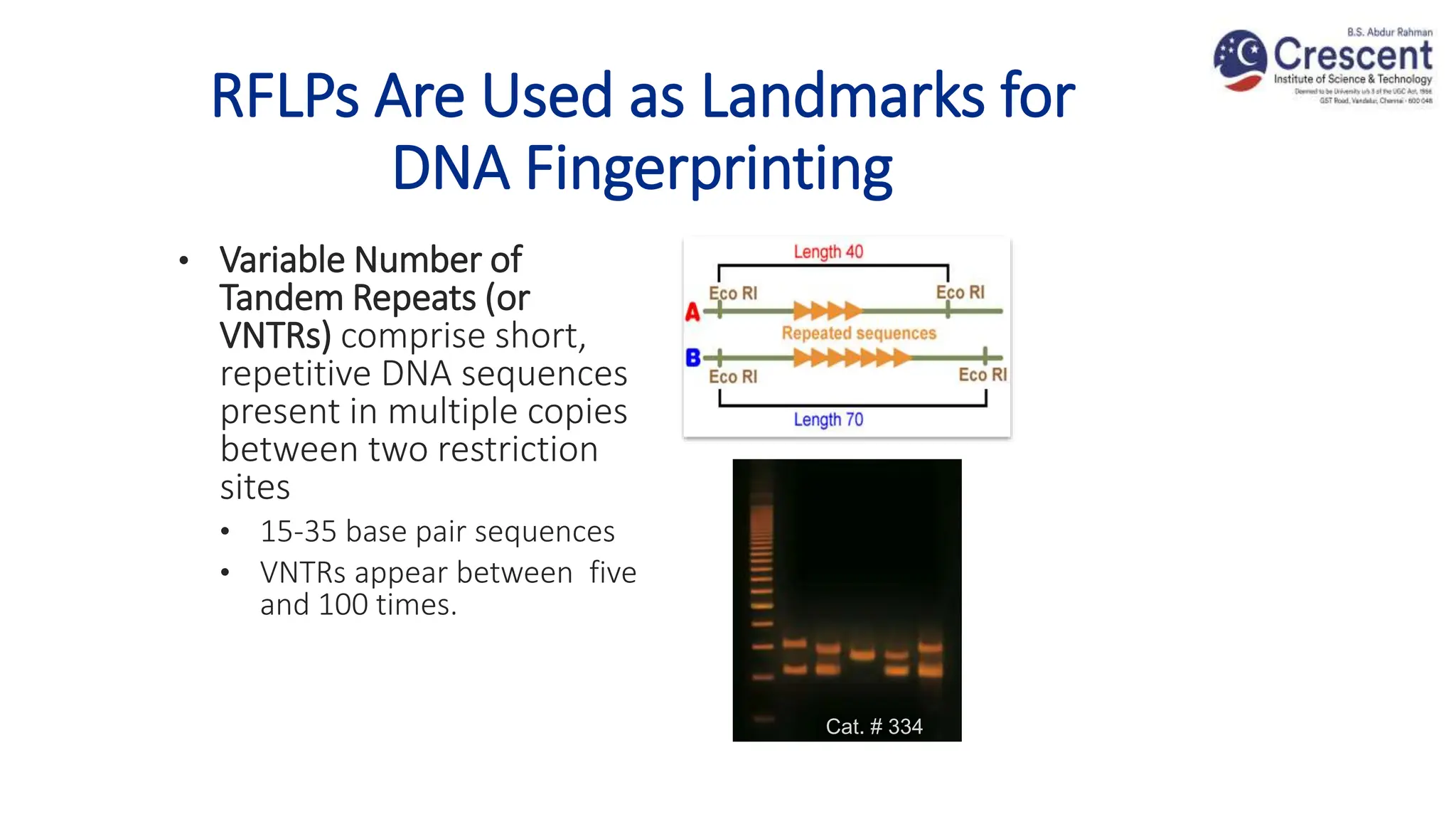 Applications in forensics PCR and DNA fingerprinting.pptx
