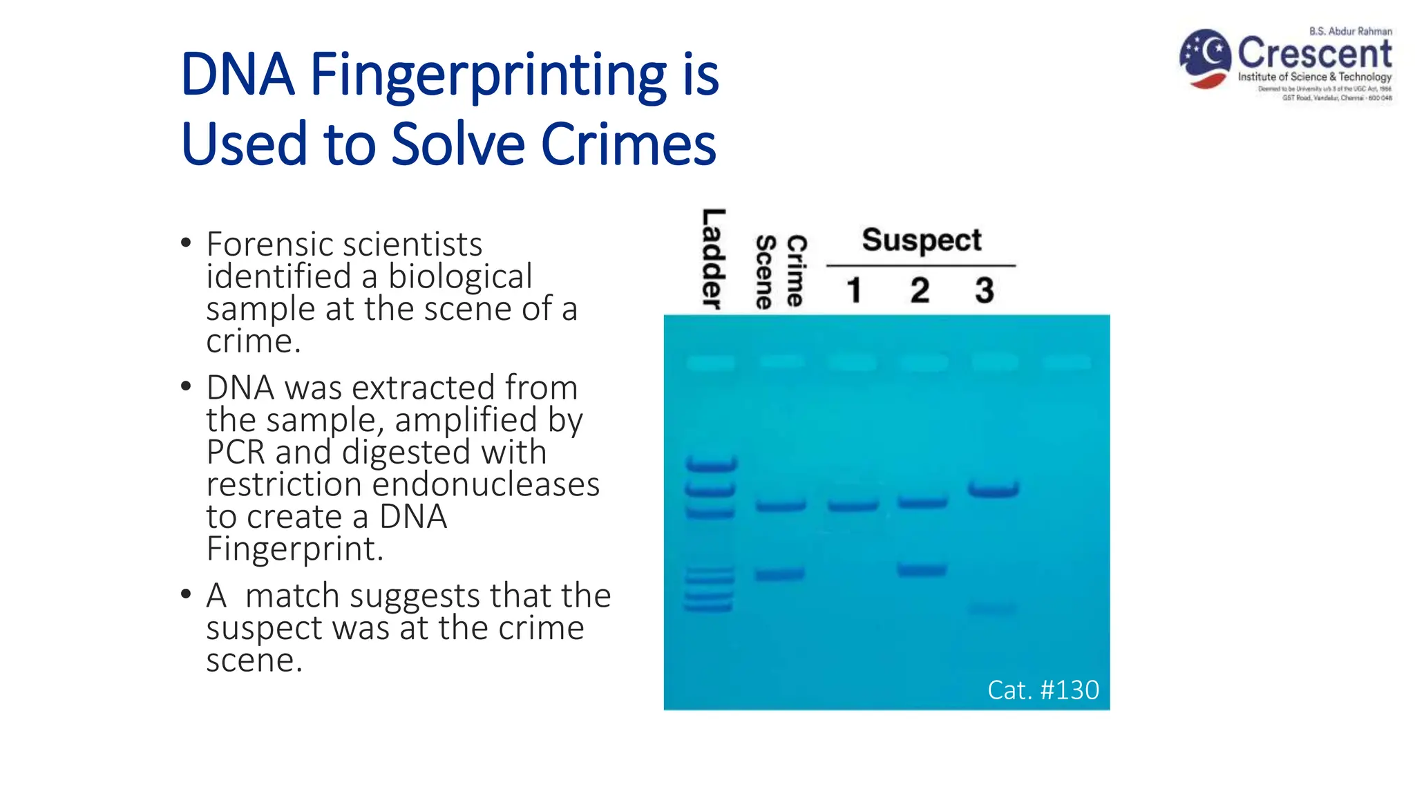 Applications in forensics PCR and DNA fingerprinting.pptx