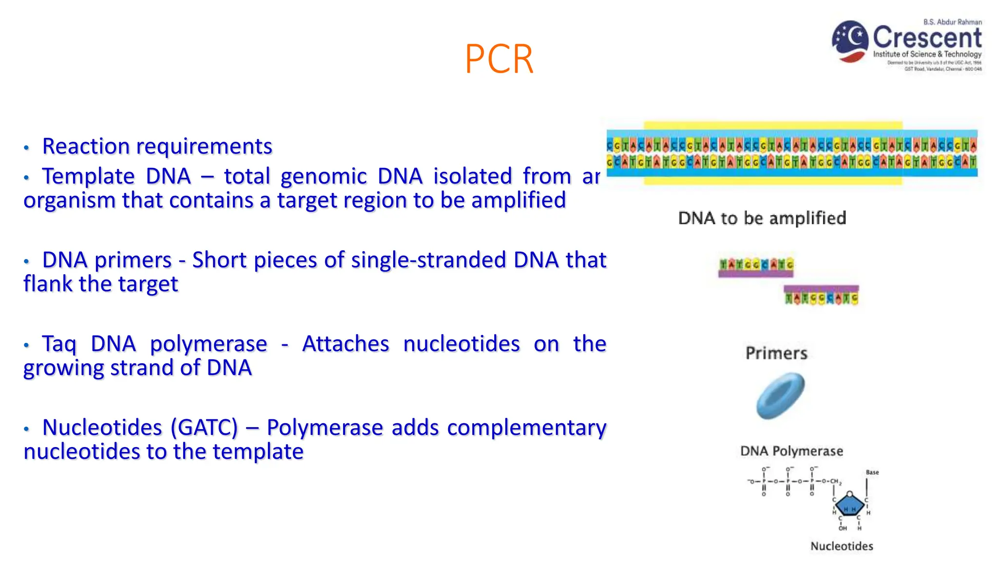 Applications in forensics PCR and DNA fingerprinting.pptx