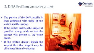 Applications in forensics PCR and DNA fingerprinting.pptx