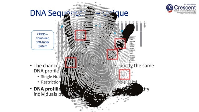 Applications in forensics PCR and DNA fingerprinting.pptx