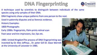 Applications in forensics PCR and DNA fingerprinting.pptx